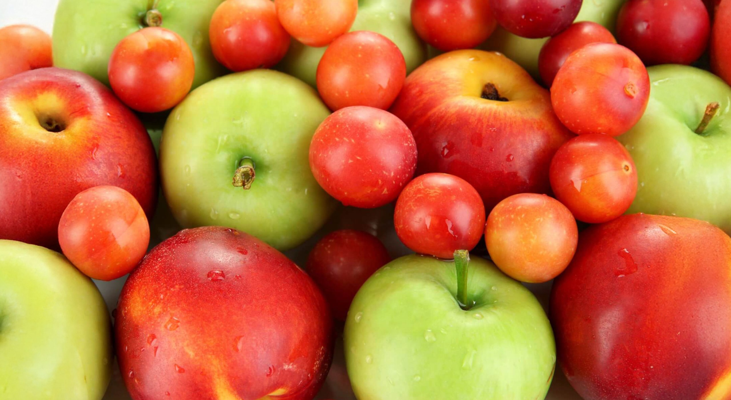 Fruit Trees