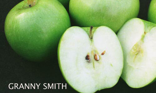 Granny Smith Apple - Louie's Nursery Riverside & Garden Center