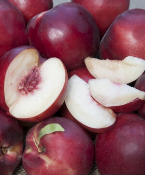Atomic Red Nectarine Trees - Louie's Nursery & Garden Center - Riverside