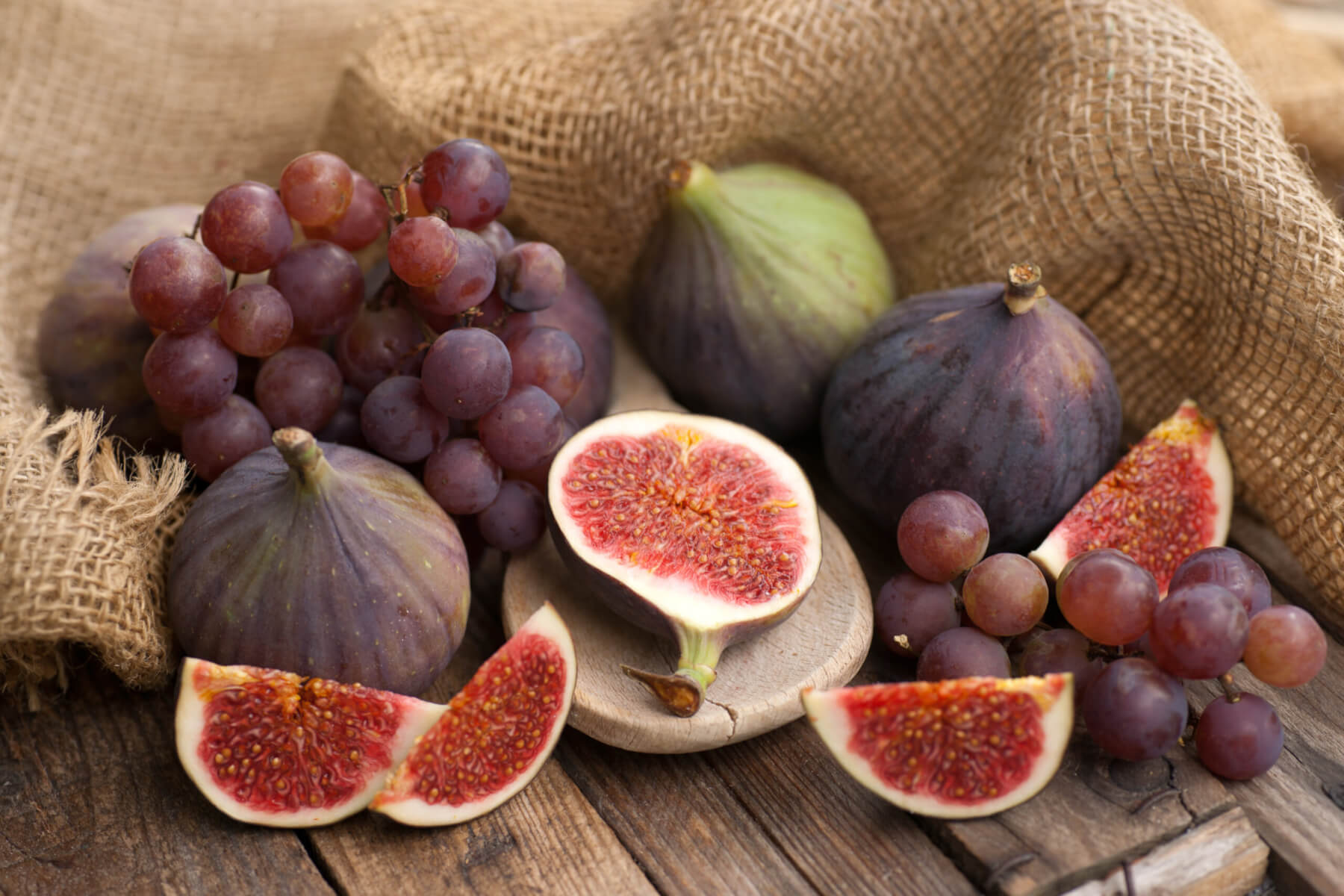 Home - Louie's Nursery & Garden Center - Riverside CA